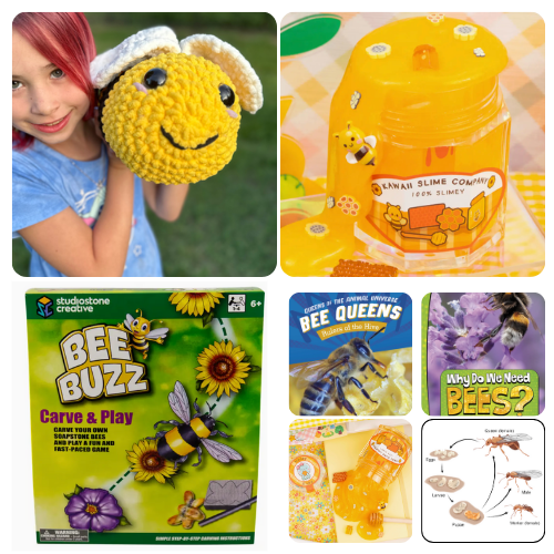 Pollinator Curriculum Kit - The Bee – The Sensory Site